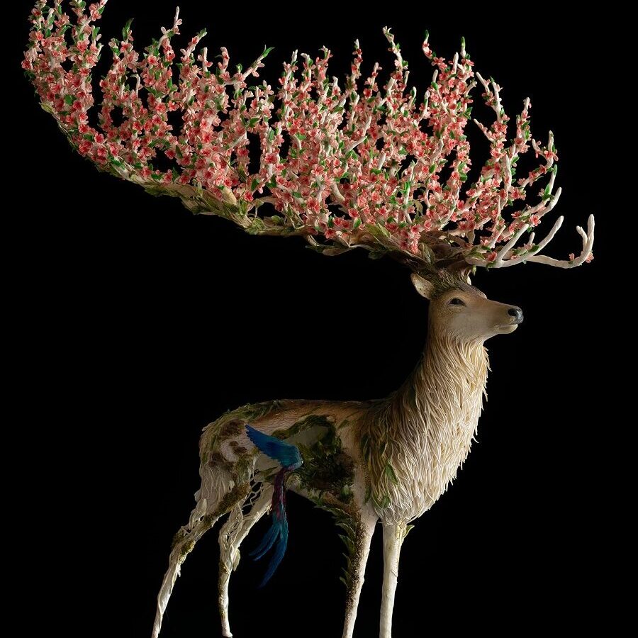 Beautiful Bizarre Art Prize – A unique Art Prize which celebrates ...